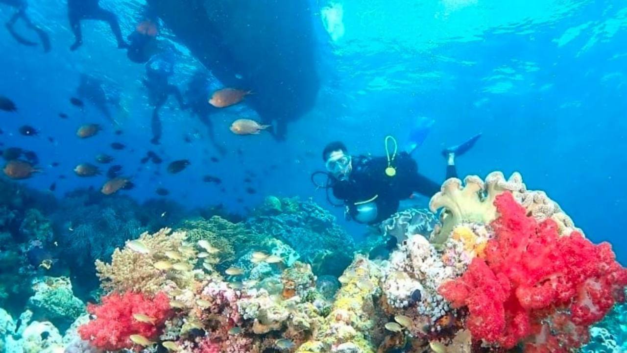 Mempertahankan Cagar Biosfer Wakatobi yang Diakui Dunia - telisik.id