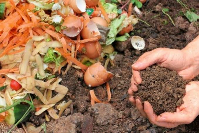 Manfaatkan Sampah Sisa Makanan Jadi Pupuk Kompos - telisik.id