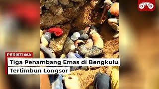 Video: Tiga Penambang Emas di Bengkulu Tertimbun Longsor - telisik.id