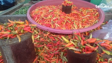 Jelang Nataru, Harga Cabai di Kendari Makin Pedas - telisik.id