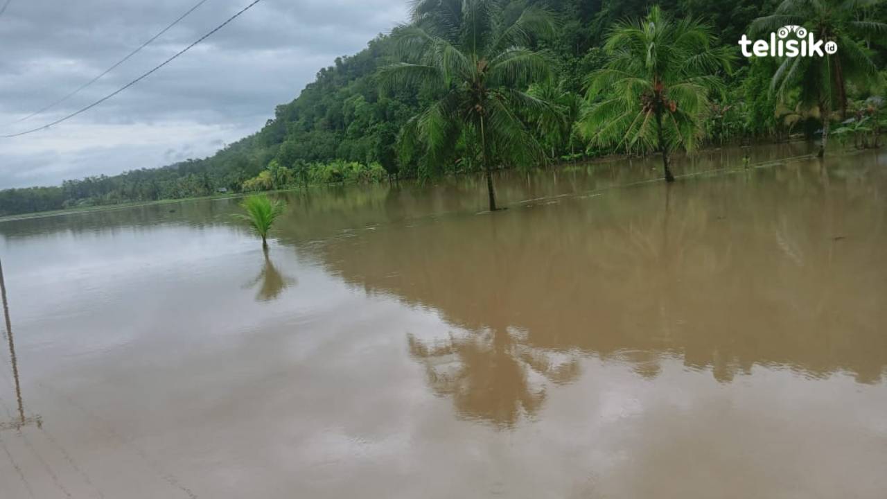 Banjir Genangi Ratusan Hektar Sawah di Baubau - telisik.id