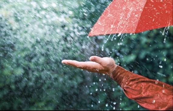 5 Kandungan Air Hujan yang Perlu Kamu Ketahui - telisik.id