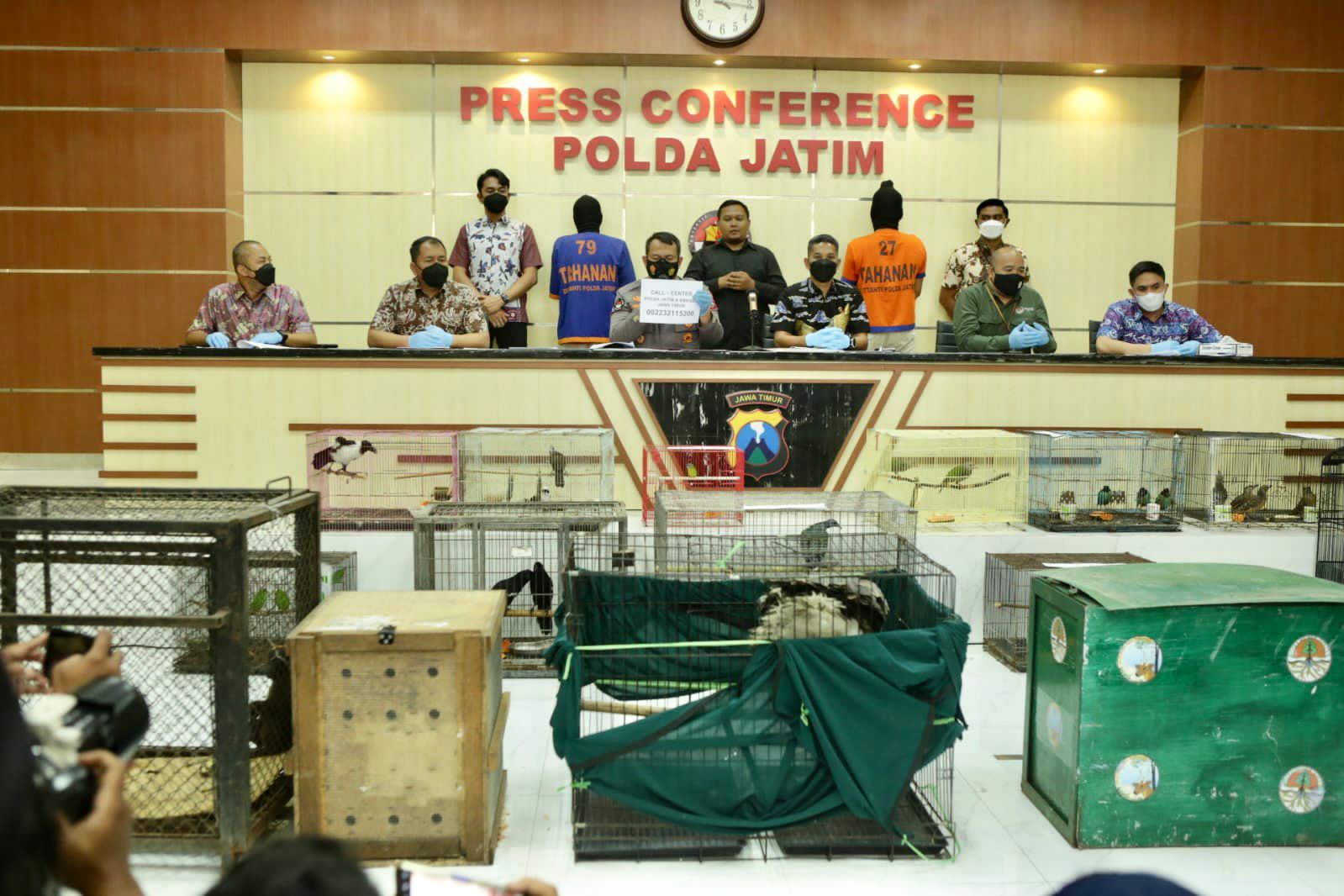 Polda Jawa Timur Gagalkan Perdagangan Satwa Dilindungi - telisik.id
