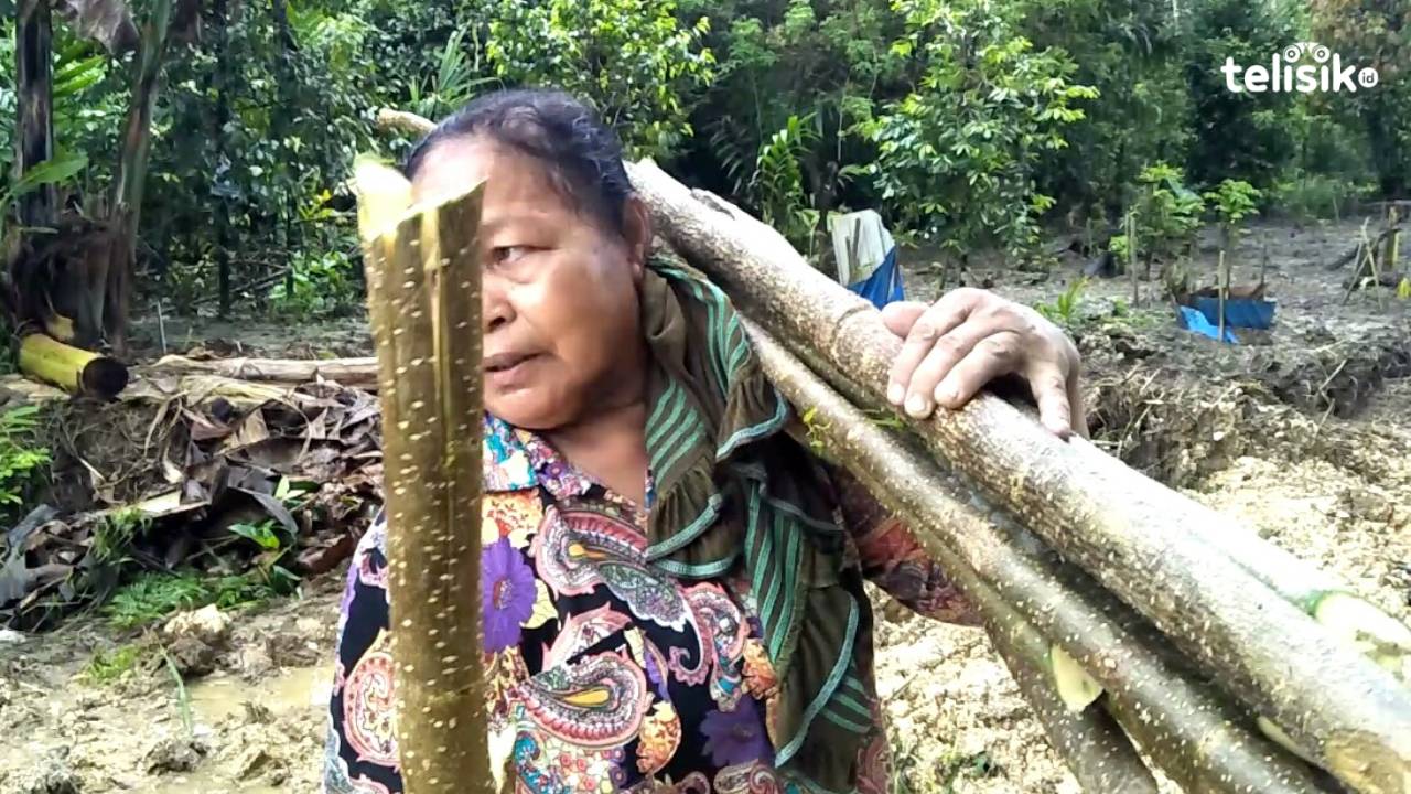 Tak Ada Pasokan Gas, Warga Konkep Terpaksa Pakai Kayu Bakar - telisik.id