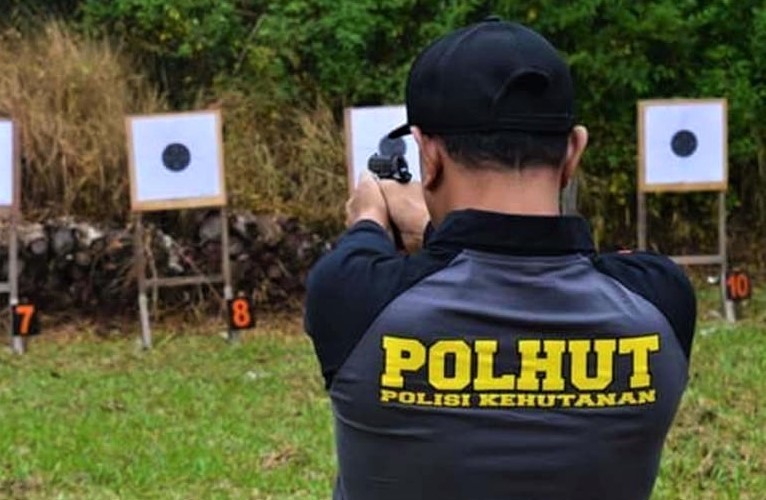 Jumlah Personel Polhut di Sulawesi Tenggara Sangat Minim - telisik.id