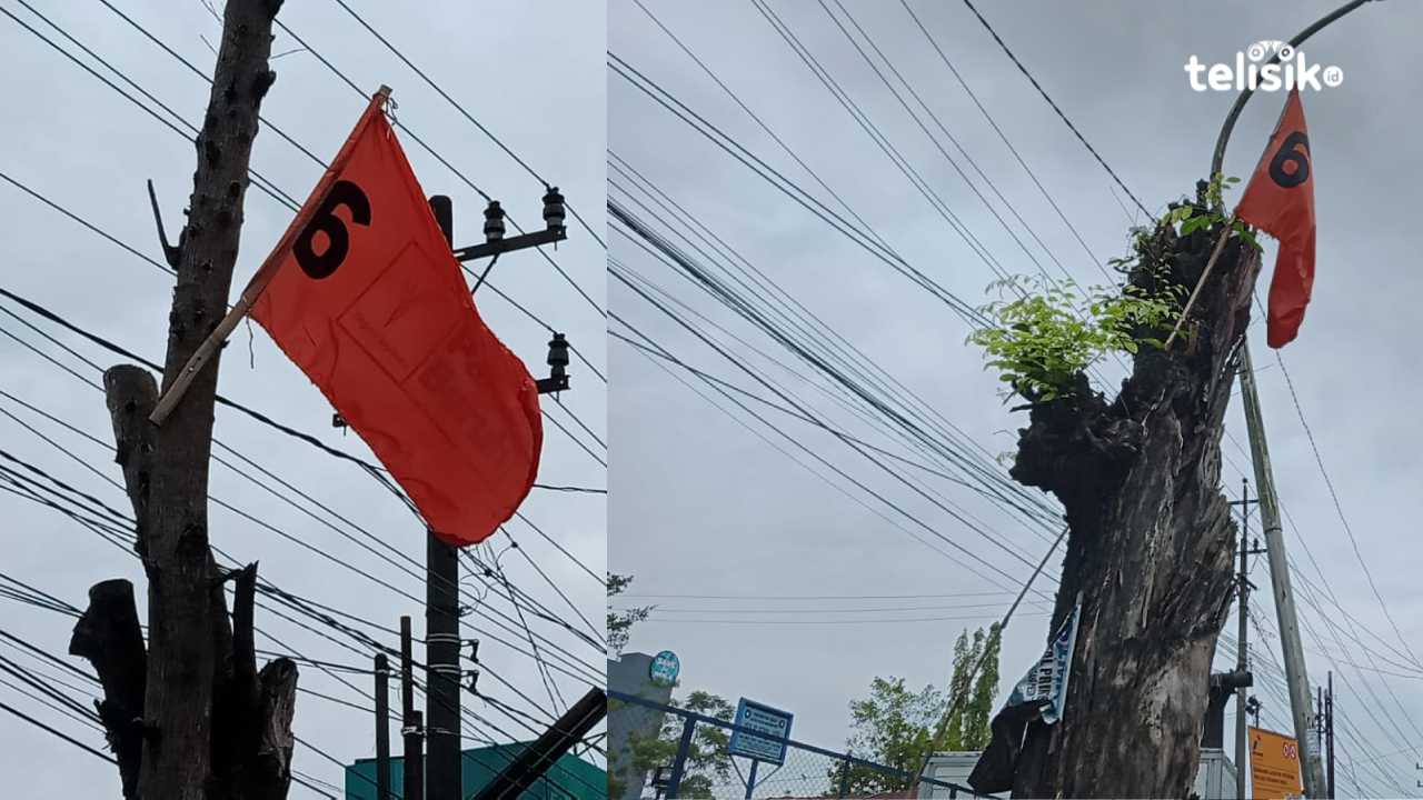 Bendera Partai Buruh Dipaku di Pohon, Bawaslu Sebut Melanggar - telisik.id