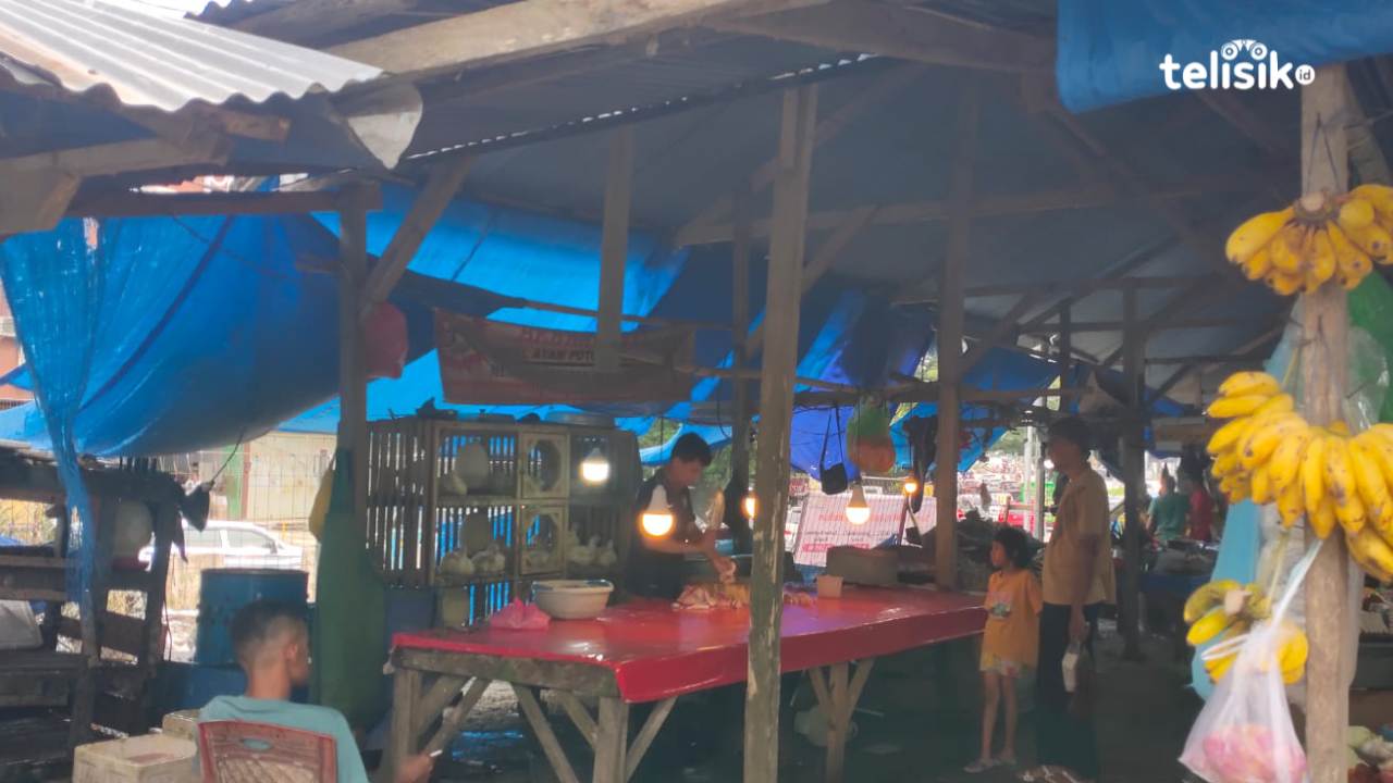 Bibit Ayam Sulit, Harga Ayam Potong Naik Jelang Idul Adha - telisik.id Bibit Ayam Sulit, Harga Ayam Potong Naik Jelang Idul Adha - telisik.id