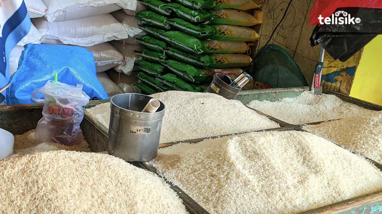 Update, Harga Beras di Pasar Kendari Mulai Stabil - telisik.id