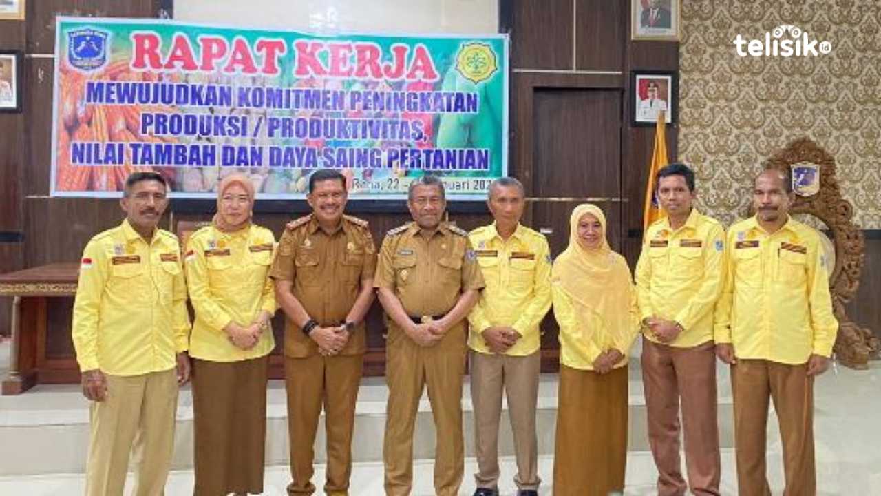 Pemda Muna Siapkan Rp 7,5 Miliar untuk Pengembangan Jagung - telisik.id Pemda Muna Siapkan Rp 7,5 Miliar untuk Pengembangan Jagung - telisik.id
