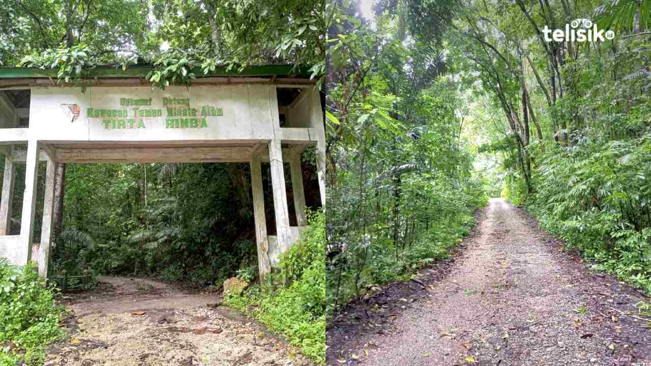 Pengunjung Keluhkan Jalan Rusak Wisata Air Terjun Tirta Rimba Baubau ...
