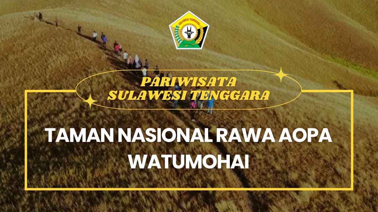 Video: Pesona Taman Nasional Rawa Aopa Watumohai - telisik.id