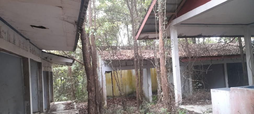 Mistik: Kejadian Horor di Pasar Tradisional, Teror Bayangan Hitam ...